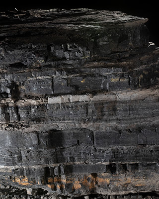 Giant coal specimen | National Museum of Australia