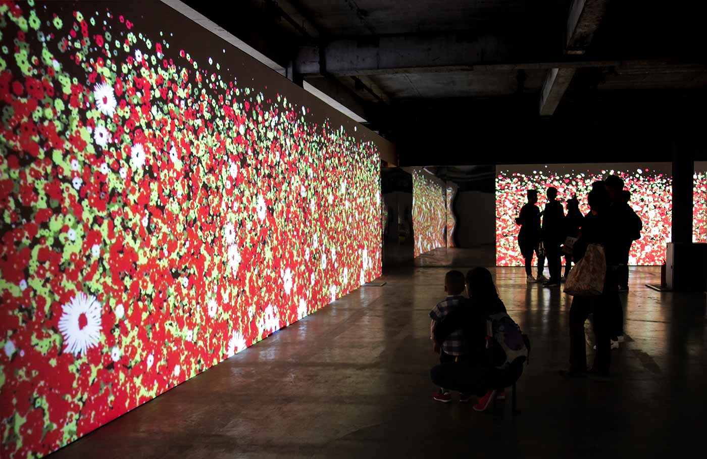 Walking through a Songline | National Museum of Australia